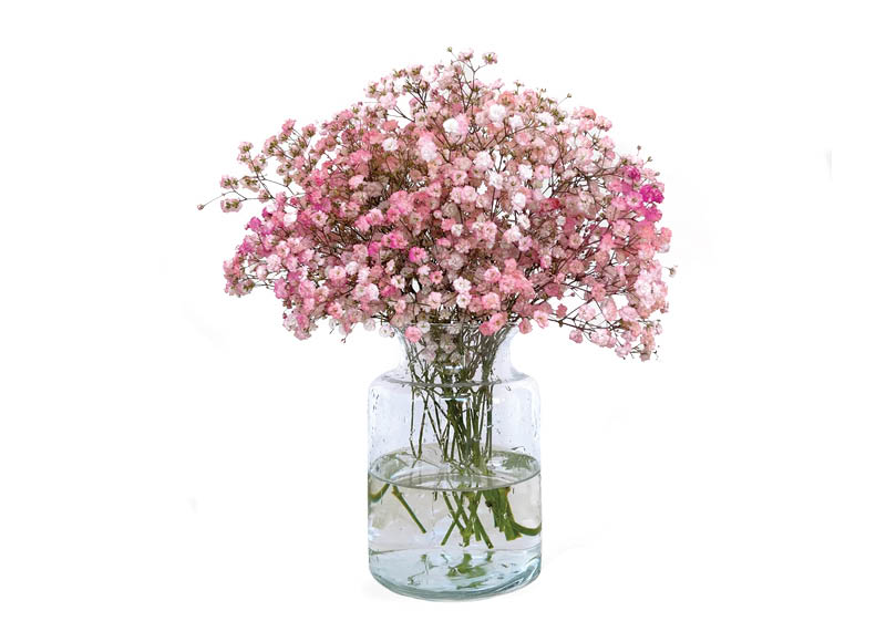 Akcijos šią savaitę | Savaitės pasiūlymai | IKI. Arčiau Tavęs!